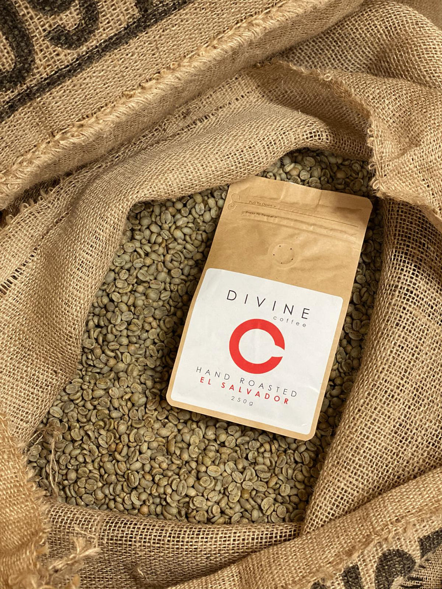 Divine Coffee- Spotlight on El Salvador Coffee – Divine Coffee Roasters